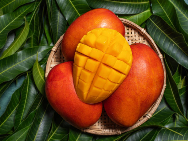 Himsagor Mango – Rajshahi Mango ! রাজশাহীর আম
